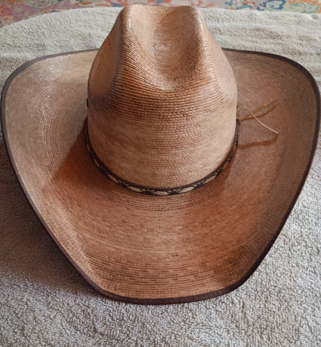Resistol Jason Aldean Palm Leaf Cowboy Hat - Amarillo Sky | eBay