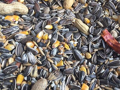 Higgins Supreme Parrot natural diet seed mix macaw cockatoo caique ...