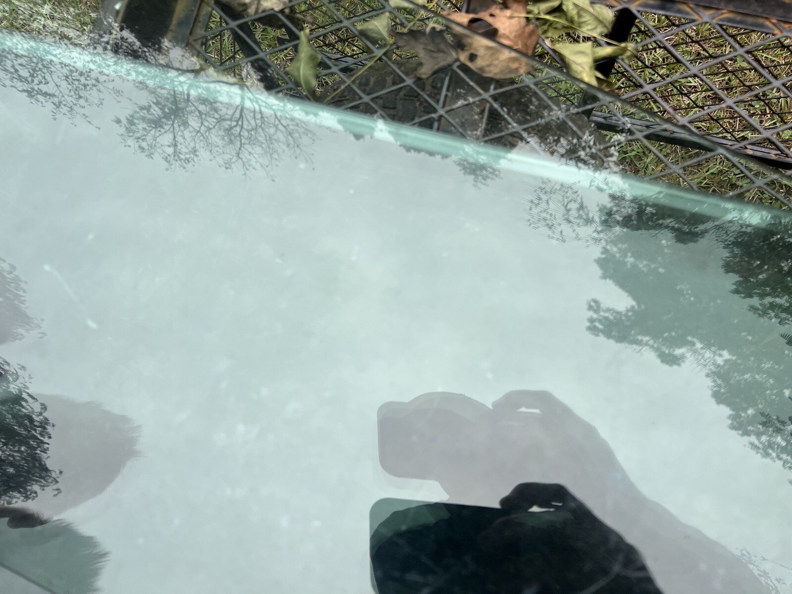 1971 - 1977 Vega Wagon RH Quarter Glass Soft Ray AS-2 27-122 M27.6 #1 ...