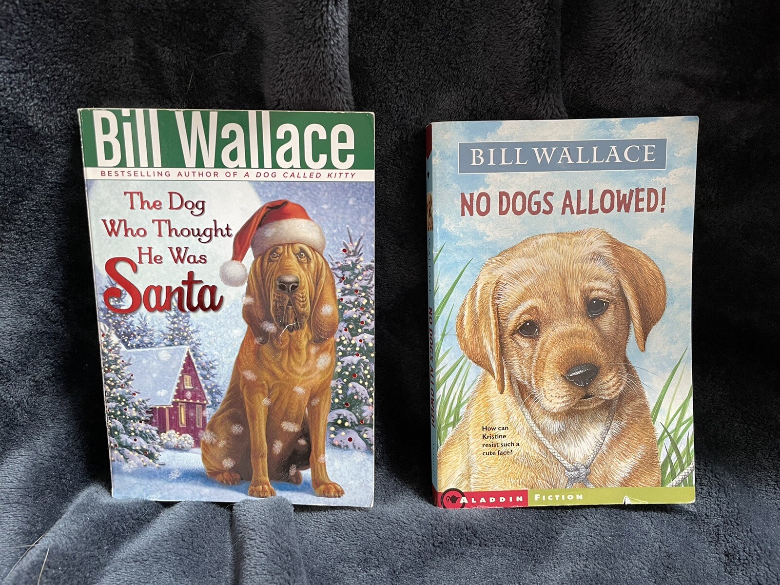 No Dogs Allowed By Bill Wallace