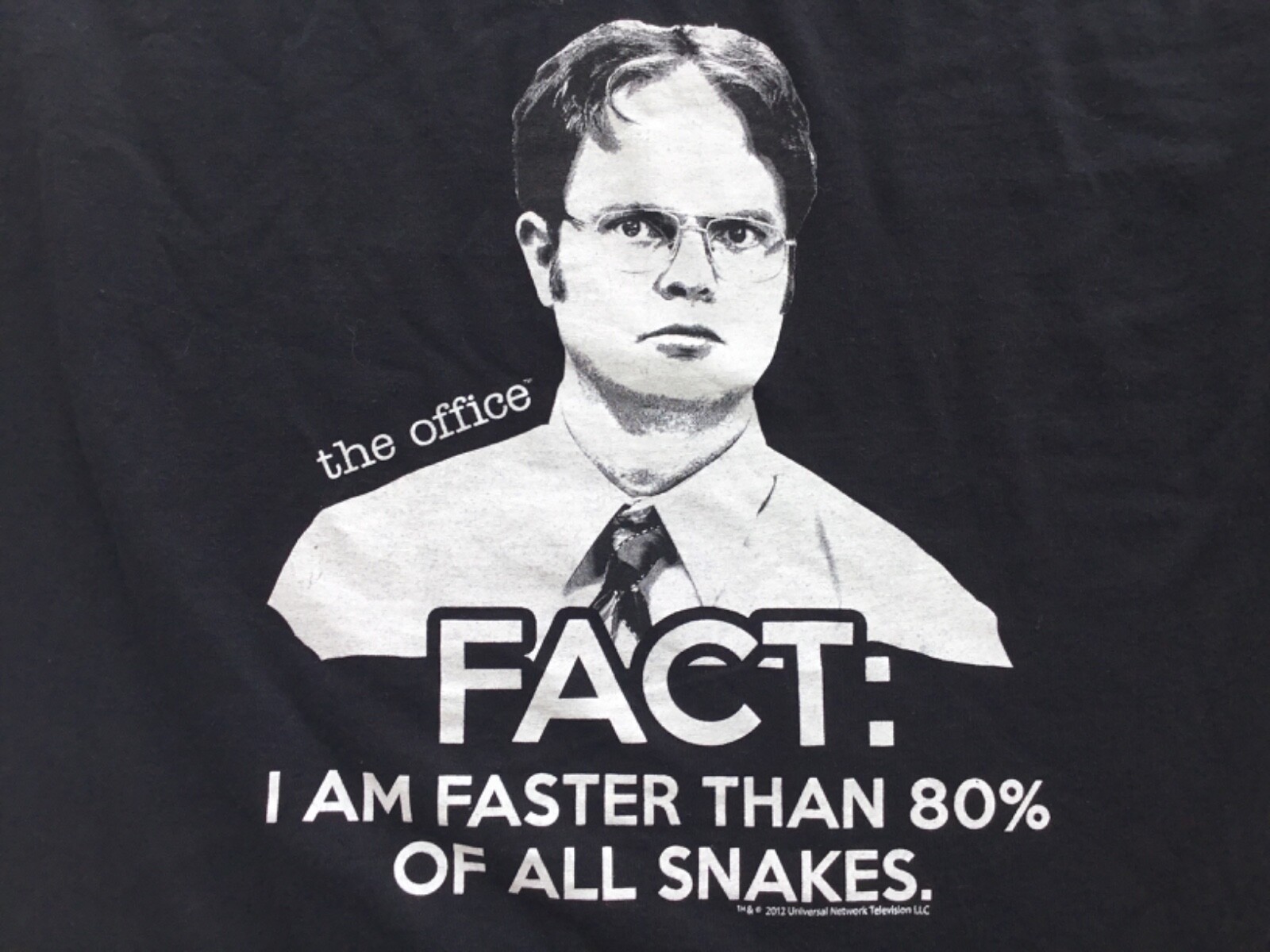 Dwight Schrute Fact