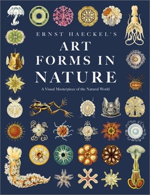 Ernst Haeckel's Art Forms in Nature: A Visual Masterpiece of the ...