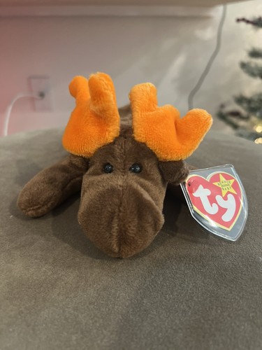 TY Beanie Baby Chocolate the Moose 1993 (Retired) with Tag Errors ...