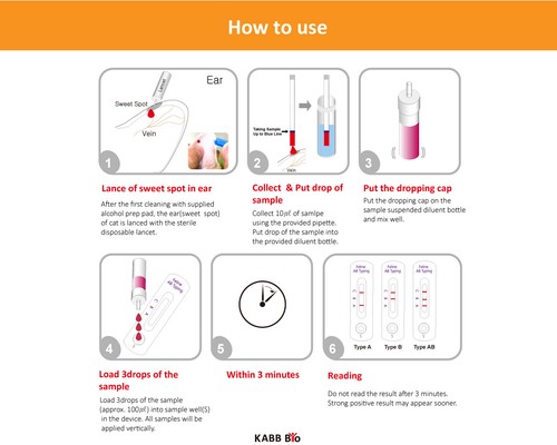 [KABB BIO] Feline AB Blood Typing Rapid Kit, Health Test Kit for Pet ...