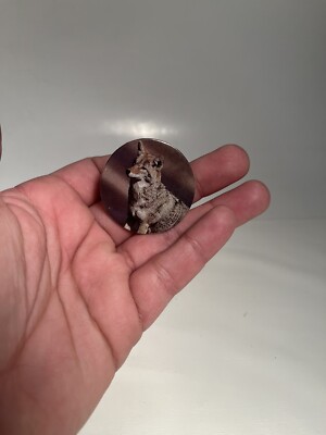 Vntg POG 1990s Coyote Wolf Dog Face Nature Cap Milk Bottle Top Game HTF ...