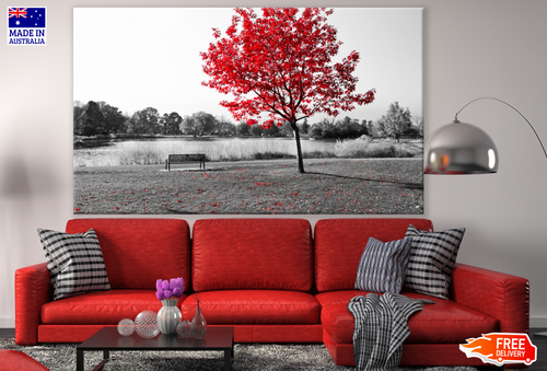 Bench Under Red Tree Park B&W Wall Canvas Home Decor Australian Made ...