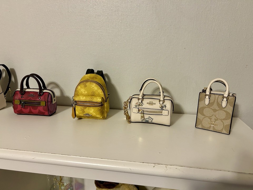 Coach Mini Bag Charm Keychains Multicolor with Zipper Buckle Chain ...