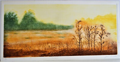 JOAN PURCELL (1933) VINTAGE COLORED ETCHING SIGNED ARTIST PROOF TITLED ...