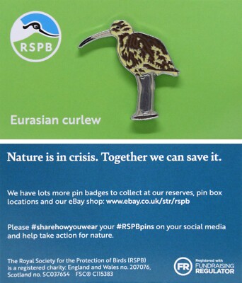 RSPB Pin Badge Eurasian curlew NIIC 03111 | eBay UK