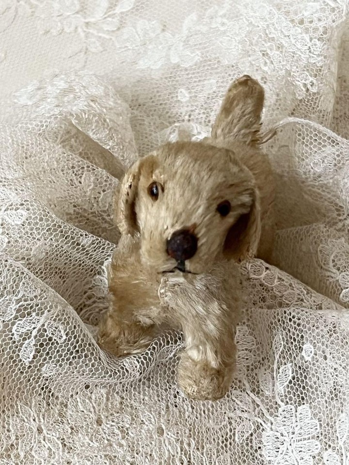 1900s Antique Mignonette Bisque Doll Jumeau Fripon Mohair Small Dog ...