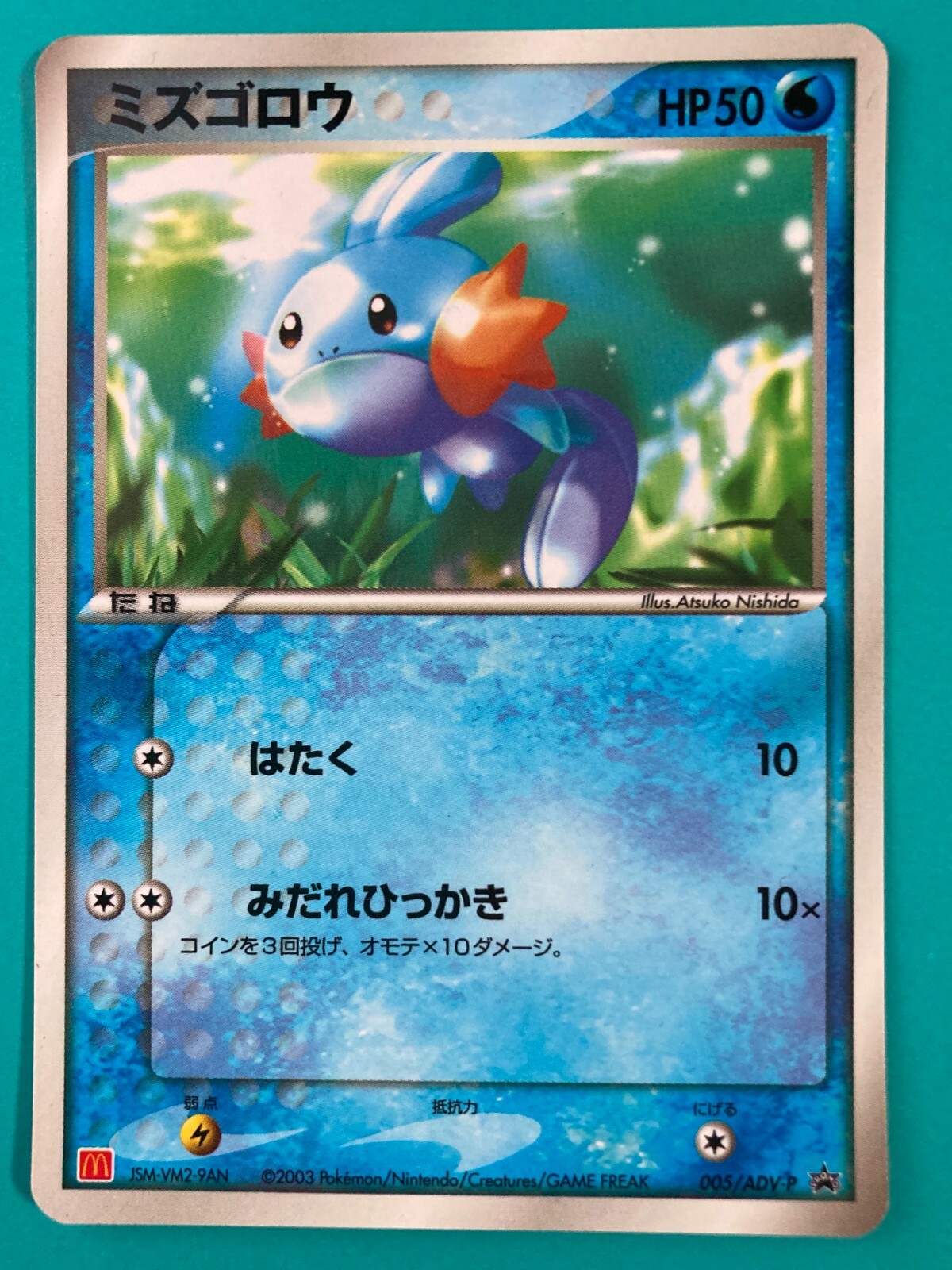Shiny Mudkip Card