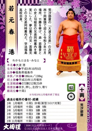 Wakamoto Haru Regular Card Bbm 2022 Sumo | eBay