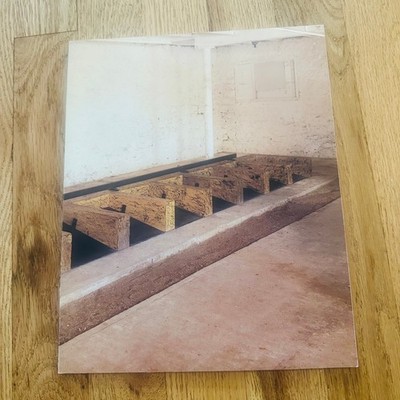 Rare, Christopher Hewat Exhibition Catalogue Victoria Munroe Gallery ...
