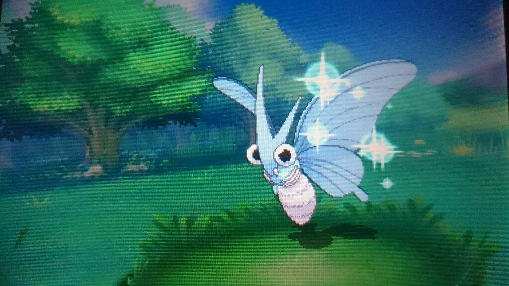 Shiny Venomoth