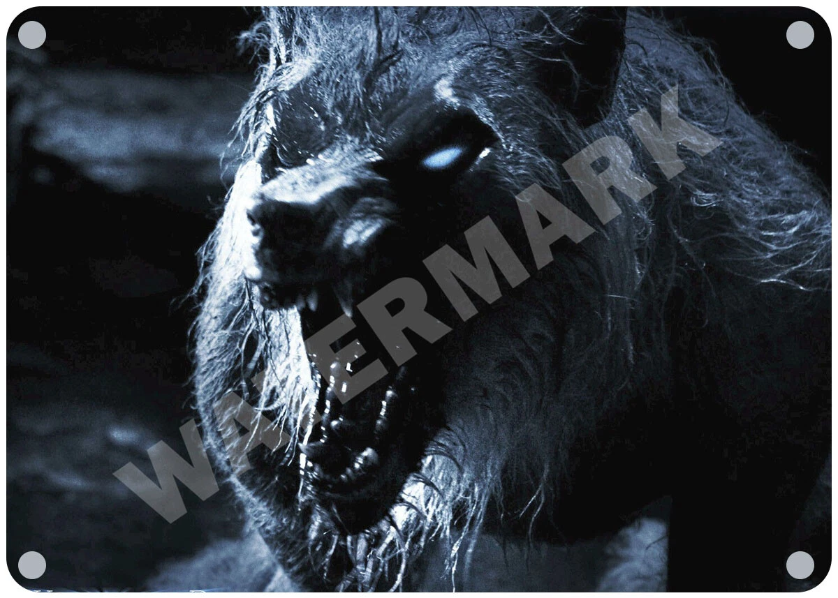 Underworld Werewolf Wallpaper