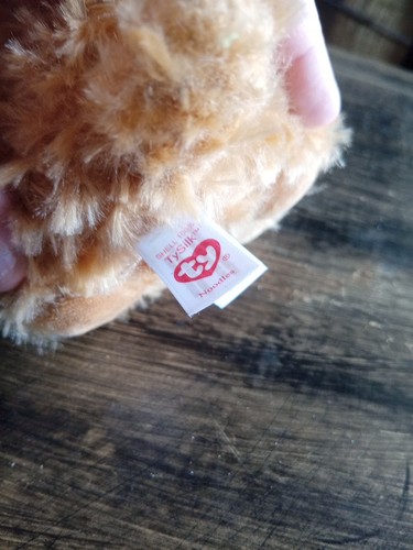 Ty Beanie Boo Nova The Narwhal and & Noodles Dog Plush Stuffed | eBay