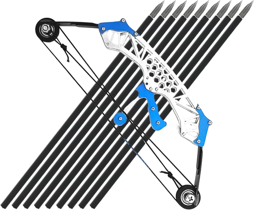 Archery Bow Set Right Hand Compound Bow Hunting Bow Metal Material ...