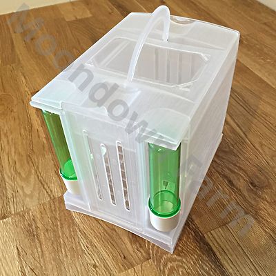 PLASTIC CARRY/TRANSPORT BOX , FINCHES, CANARY, SINGLE SMALL BIRD CARRY ...