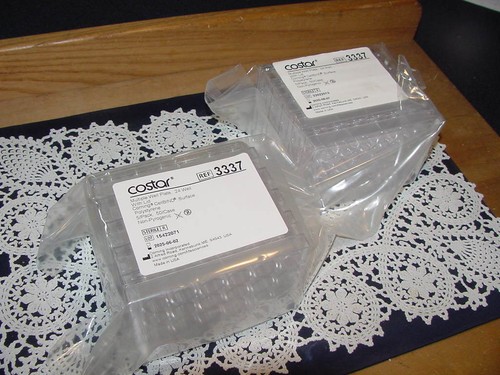 Lot of Two (2) Costar 3337 Multiple Well Plates, 24 Well w/Lid Corning ...