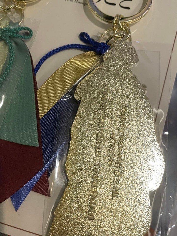 USJ Univa Pharmacist's Soliloquy Maomao Jinshi Cat Key Chain Pair New ...