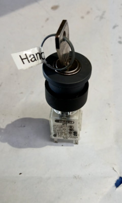 SCHLEGEL AT2 KEYSTART SWITCH (BR4B.6B17) | eBay