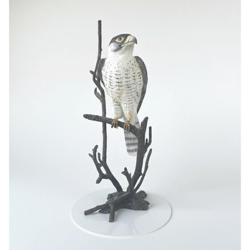 Royal Worcester Peregrine Falcon 1985 Limited Edition Birds of Prey ...