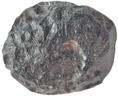 Meteorito Real I Cut Open REAL METEORITES To See What’s Inside..