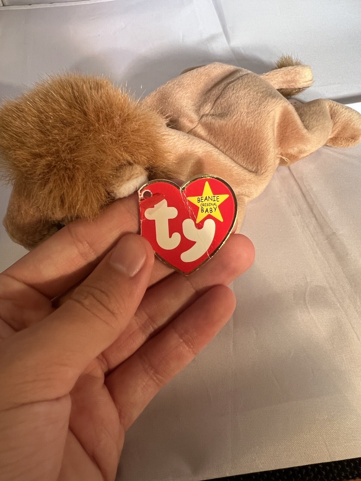 Ty Beanie Baby Roary the Lion DOB February 20, 1996 MWMT | eBay