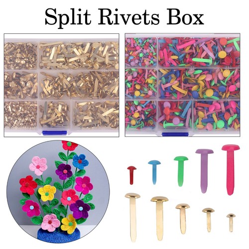 Split Bifurcated Rivets Iron leg Rivet Box Gold Multicolour Leather ...