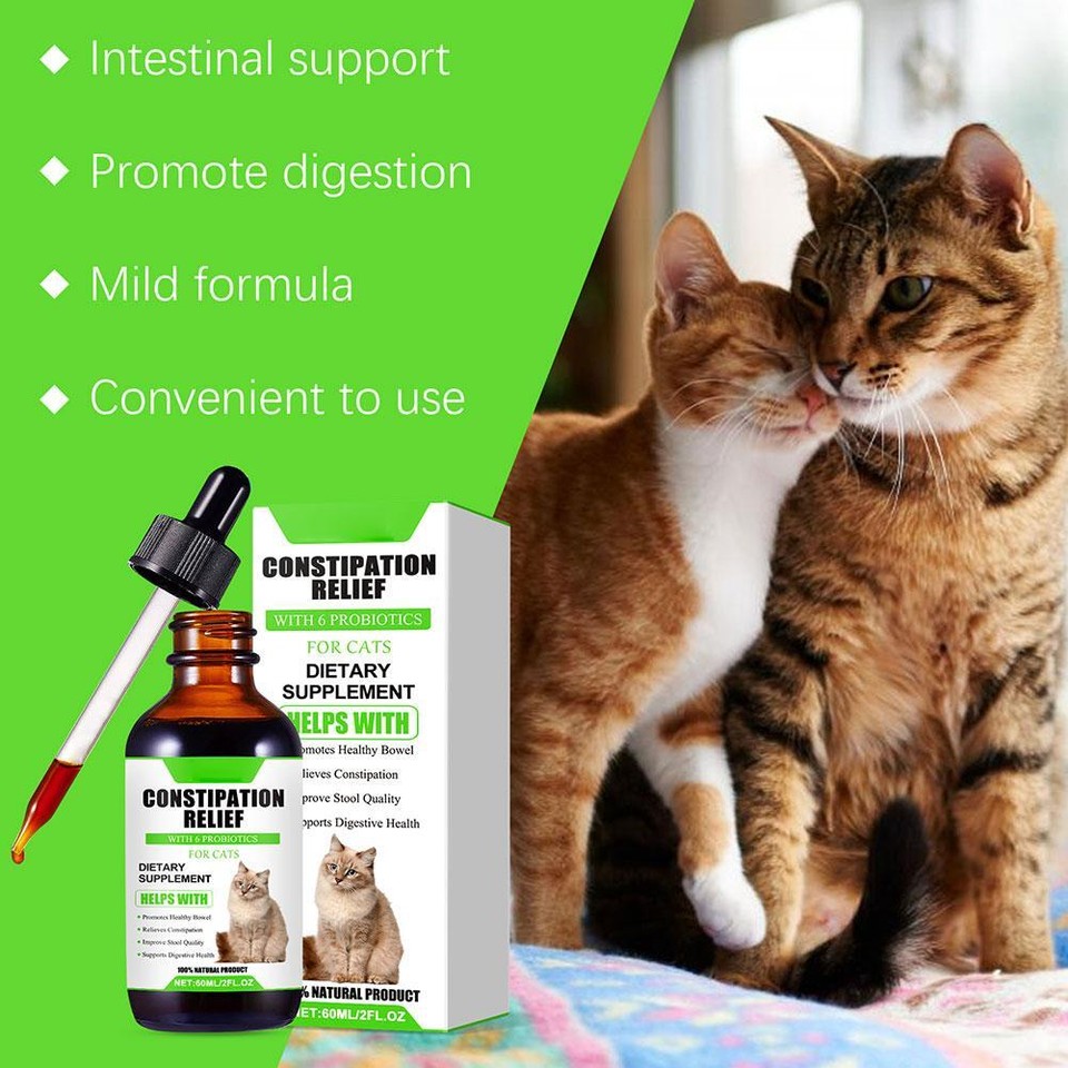 Probiotic drops cats intestinal digestive health constipation relief ...