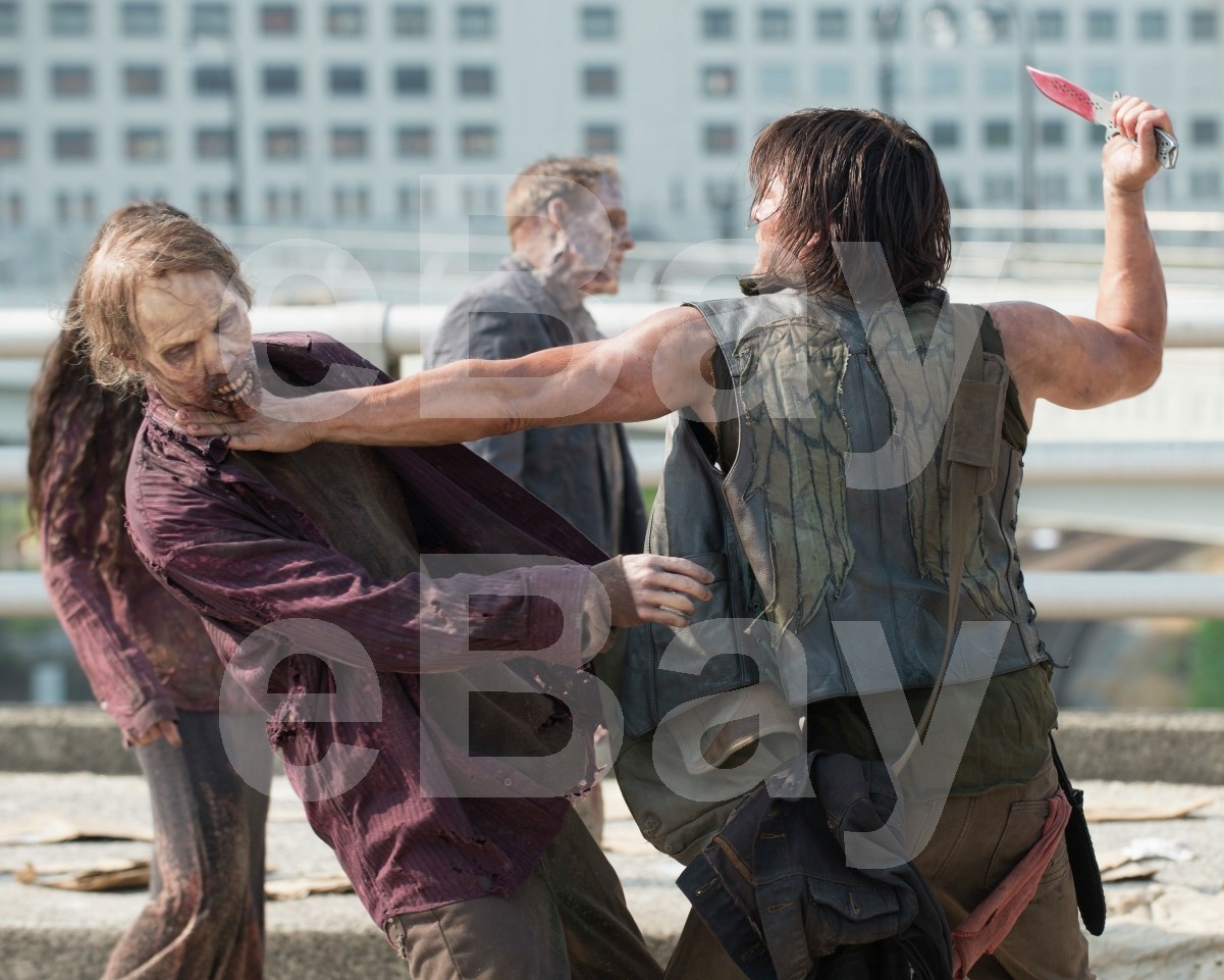 The Walking Dead (TV) Norman Reedus "Daryl" Photo | eBay UK