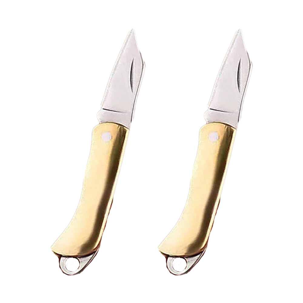 2PC Pocket Knife Folding knife Worlds Smallest knife Mini Keychain ...