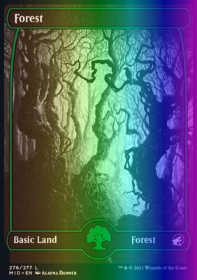 MTG Magic the Gathering Forest (276/553) Innistrad Midnight Hunt LP ...