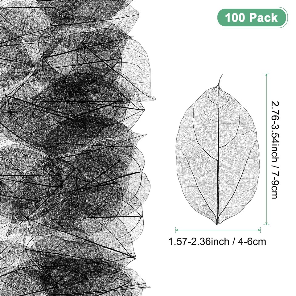 100-Pack Skeleton Leaves, Natural Rubber Tree Leaves Vein[7-9cm, Black ...