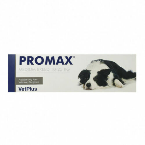 VetPlus PROMAX SYRINGE for Cat & Dog Nutritional Digestion Supplement ...