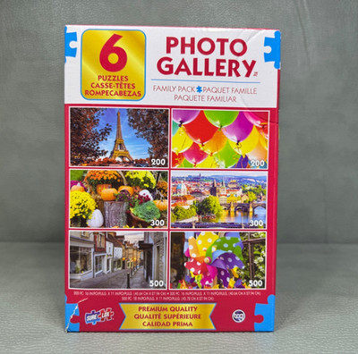 Art Gallery Family Pack 6 Assorted Jigsaw Puzzle Set by Surelox | eBay