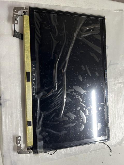 Dell Alienware Area-51m R2 17.3" FHD LCD Screen Complete Assembly 144Hz ...