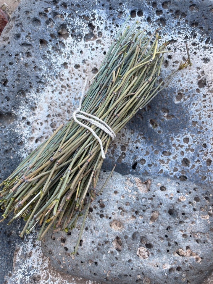 1 Lbs. mormon tea, Brigham tea. Grown and harvested in the white mtns ...