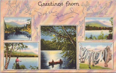Greetings from Dixie Land - Vintage POSTCARD | eBay