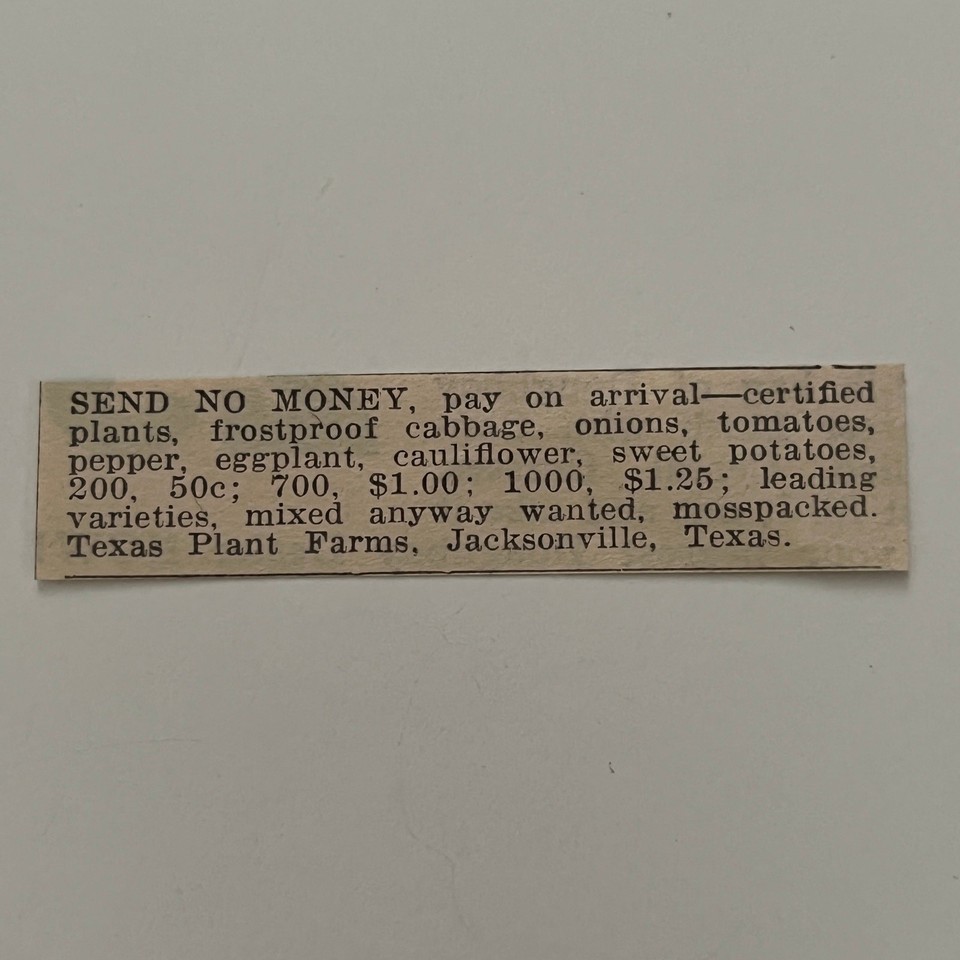 Texas Plant Farms Certified Plants Jacksonville 1940 Racine WI Clipping ...