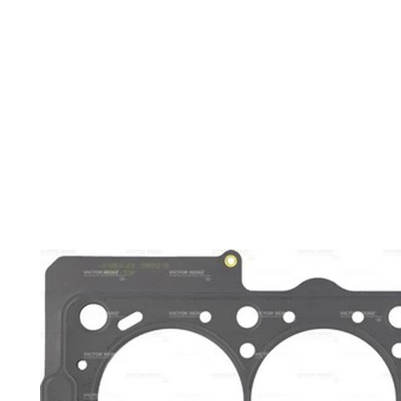 VICTOR REINZ Cylinder Head Gasket 61-31850-20 FOR Saxo 106 C3 Picasso ...