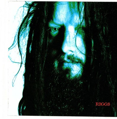 Rob Zombie Band DECAL STICKER Music Album Cover Art Sinister Urge Riggs ...