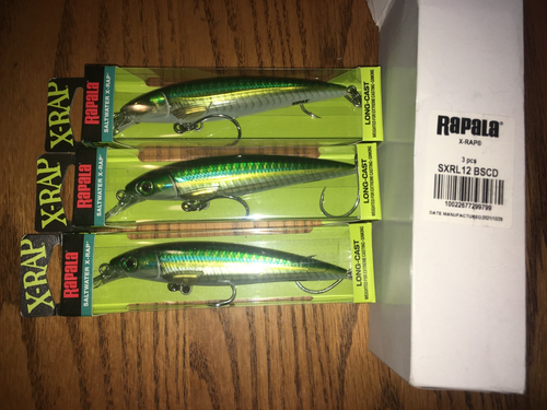 RAPALA SALTWATER X-RAP LONG CAST 12's--- 3 BIGEYE SCAD COLORED FISHING ...
