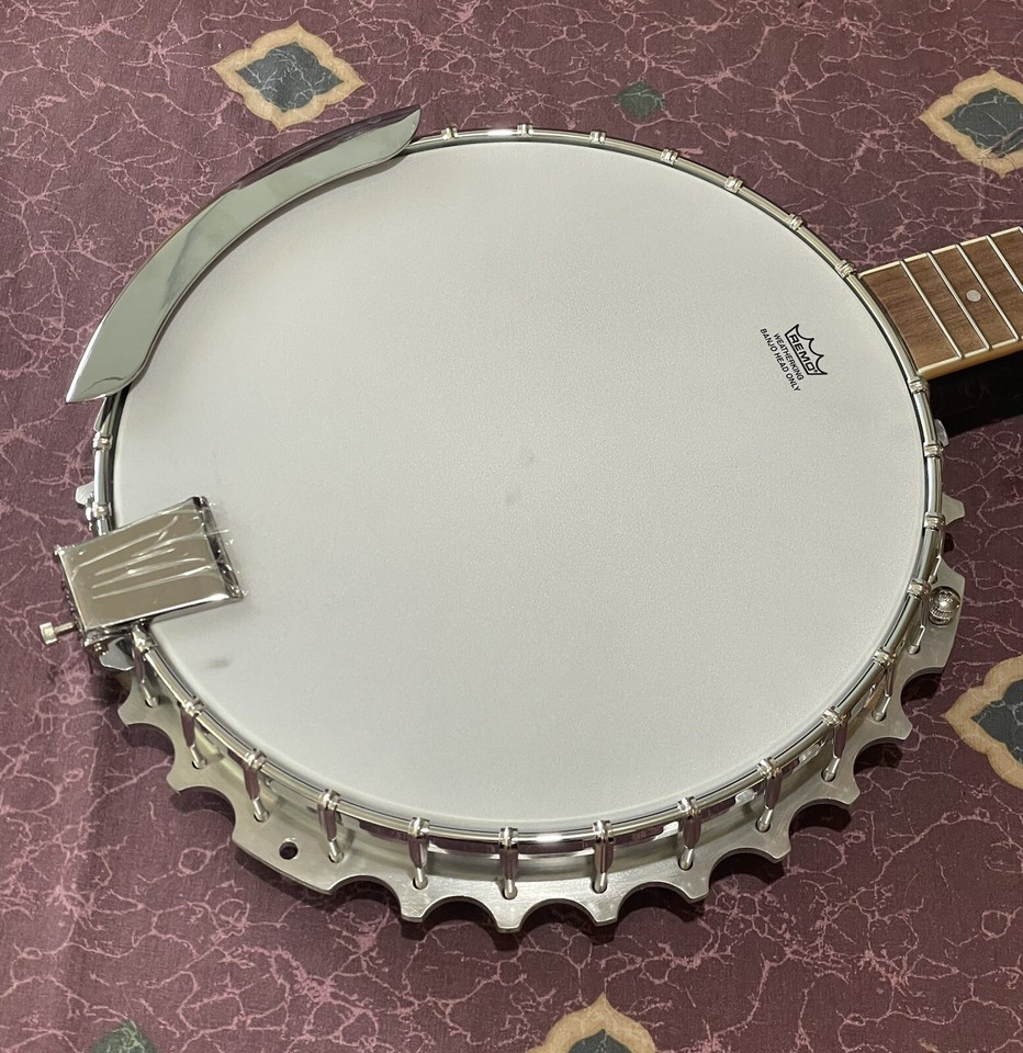 Rogue B30 5-String Banjo Easy Project | eBay