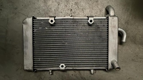 Radiator Yamaha Xmax 125 300 Tricity 300 x-Max Motorecuperados | eBay