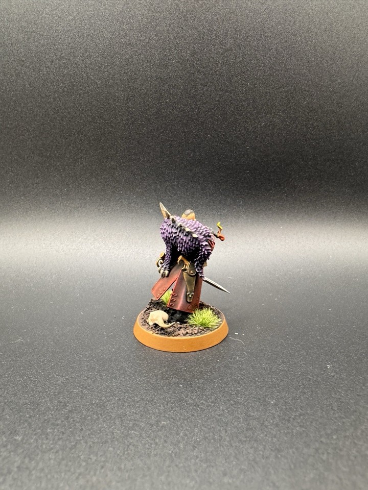 40K Janus Draik, Rogue Trader Warhammer Quest Blackstone Fortress ...