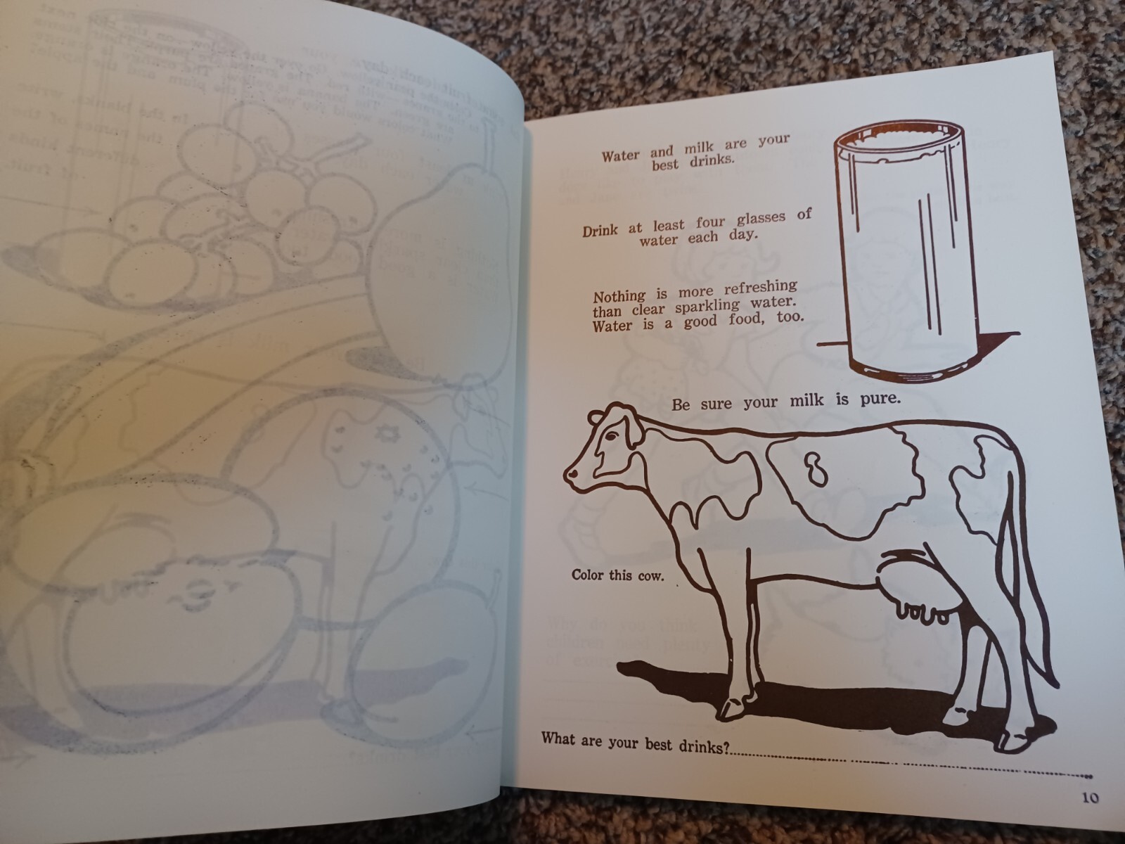 1947 Champion Publishing My Health Book Hectograph Ink 32 Pages Hygiene ...