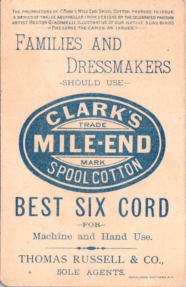 Clarks Thread Linnet Bird Birds Nest Branch Flower Mile End Spool ...