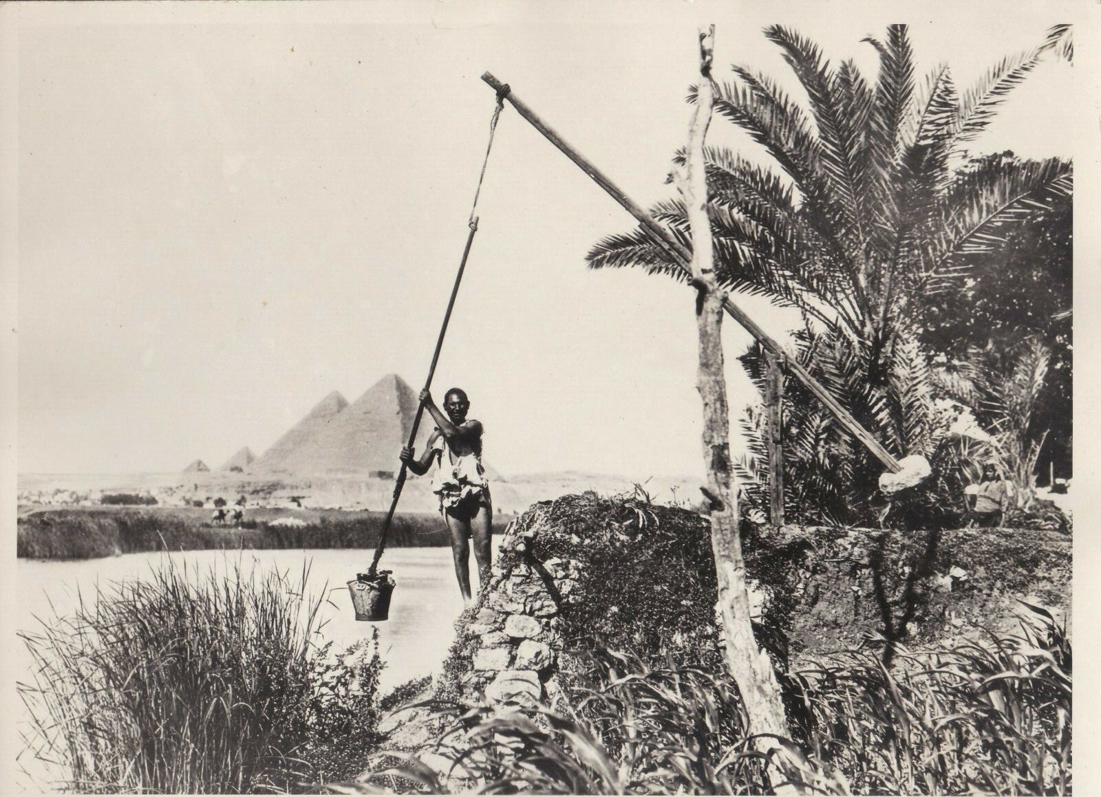 Egypt- The Shaduf At the pyramids Antique Vintage Large original Photo ...