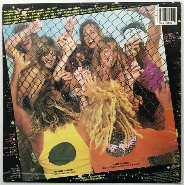 Surf Punks My Beach 1980 Vinyl LP Epic Records NJE 36500 1st Press See ...